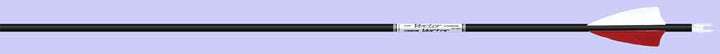 Carbon Arrows – Lost Nation Archery